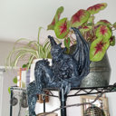 Design Toscano Old Studley Castle Gargoyle Statue & Reviews | Wayfair