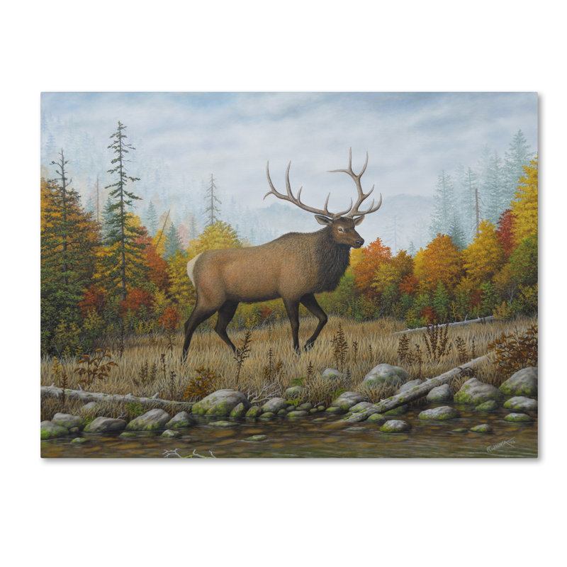 Trademark Art 'Autumn Elk' Graphic Art Print on Wrapped Canvas | Wayfair