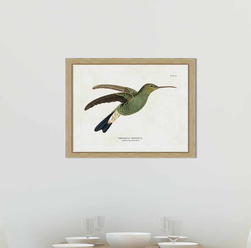 Charlton Home® Hummingbird - Picture Frame Print & Reviews | Wayfair
