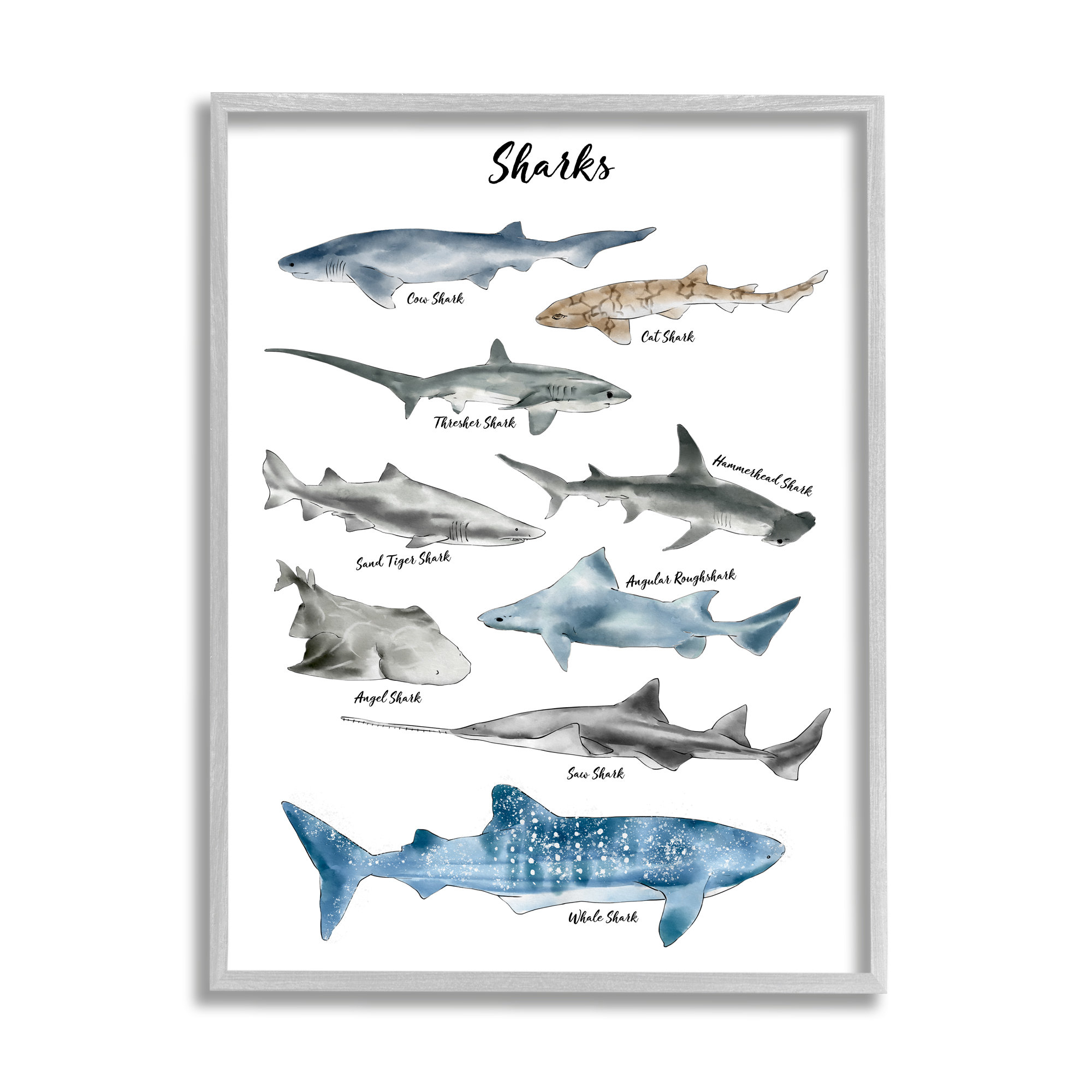 Longshore Tides Nautical Shark Chart Watercolor Marine Animals by Ziwei ...
