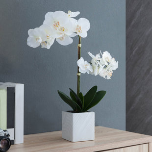 Wayfair | Flower Centerpieces You'll Love in 2022