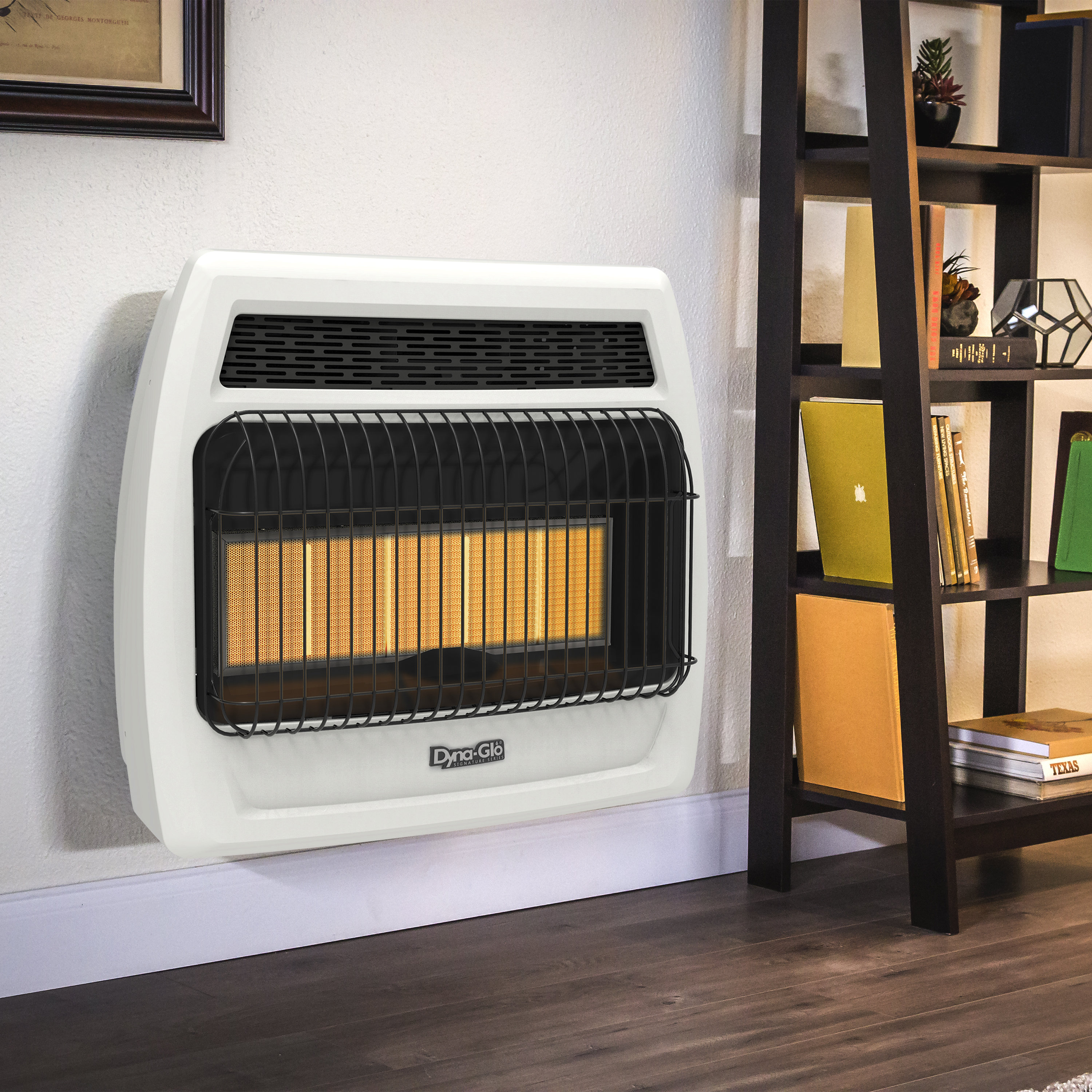 Dyna-Glo 30000 BTU Propane High Efficiency Wall Mounted Space Heater ...