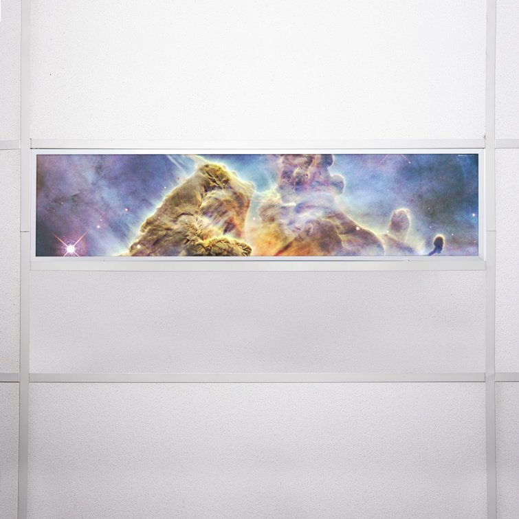 Octo Lights Astronomy Flexible Decorative Light Cover | Wayfair