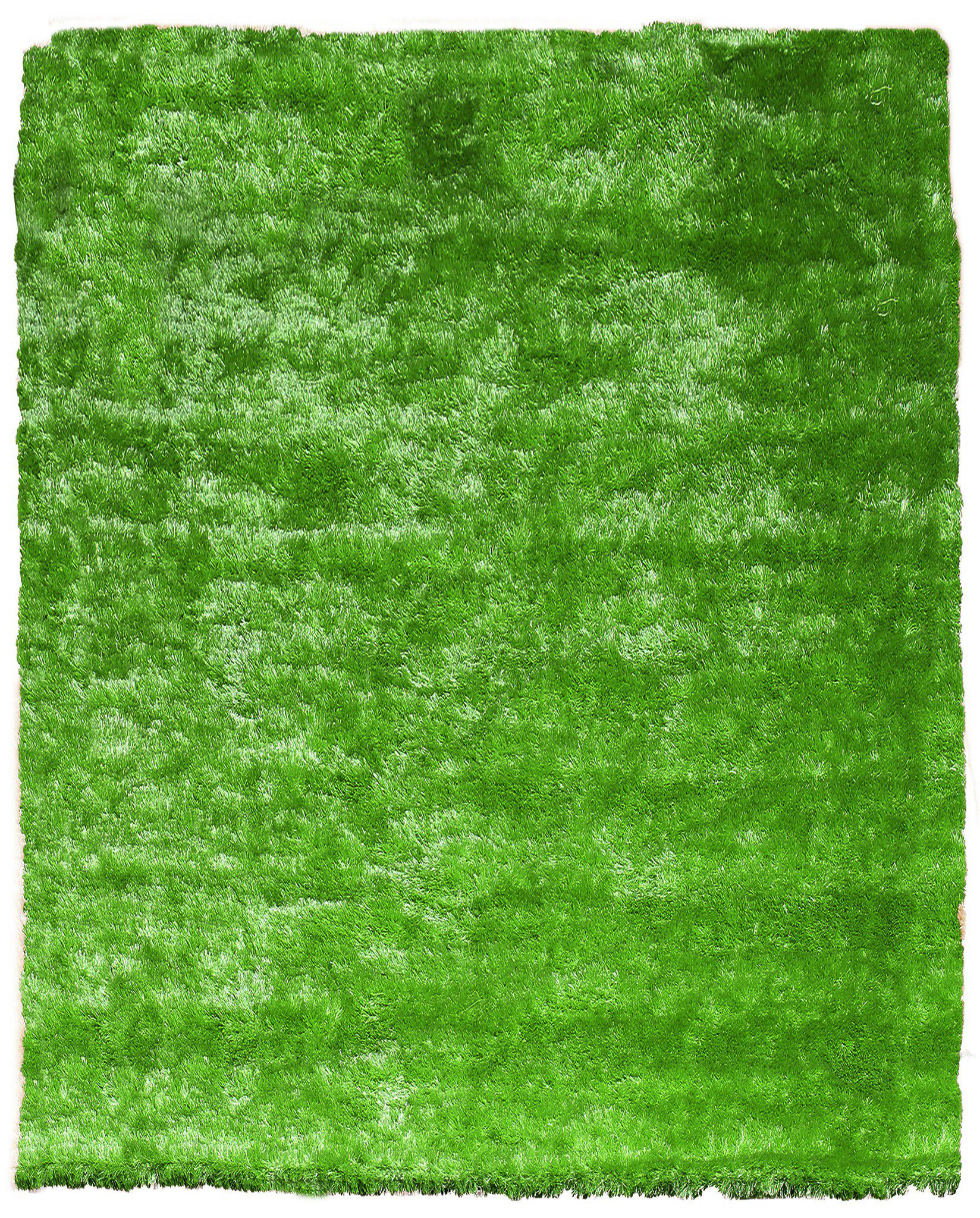 Mercer41 Chavely Shag Green Rug | Wayfair