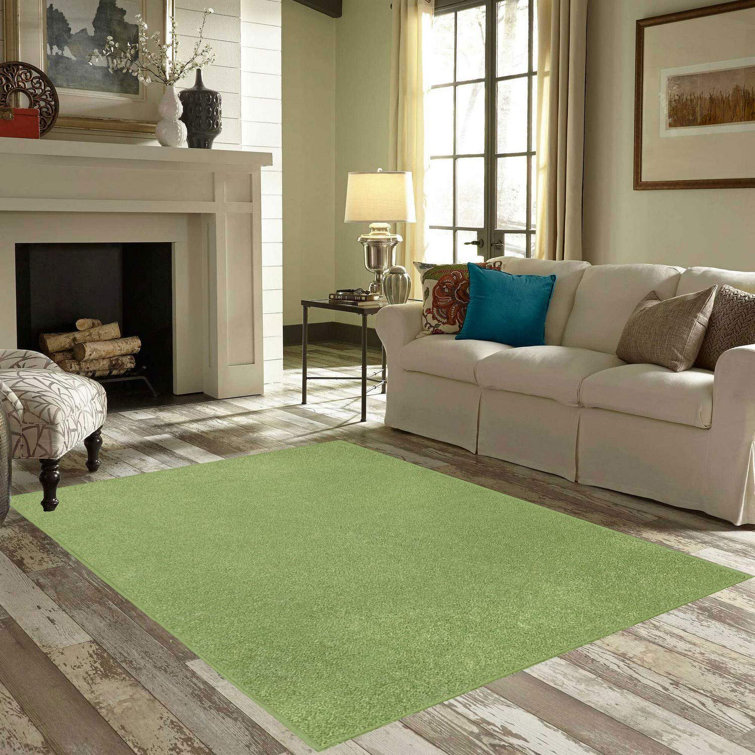 Latitude Run® Braided Lime Green Area Rug | Wayfair