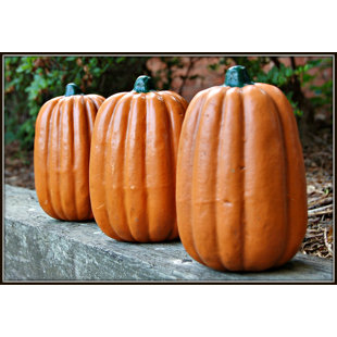 Pumpkins | Wayfair
