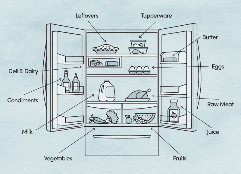 How to Organize a Fridge | Wayfair
