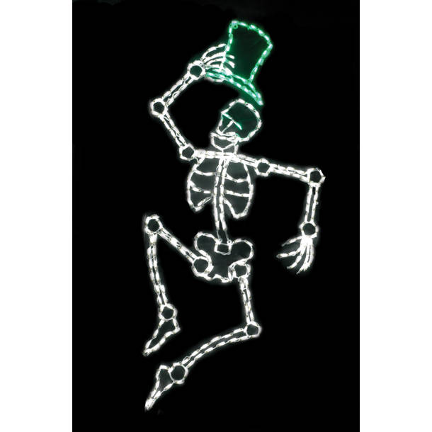 Brite Ideas Dancing Skeleton LED Lighted Display | Wayfair
