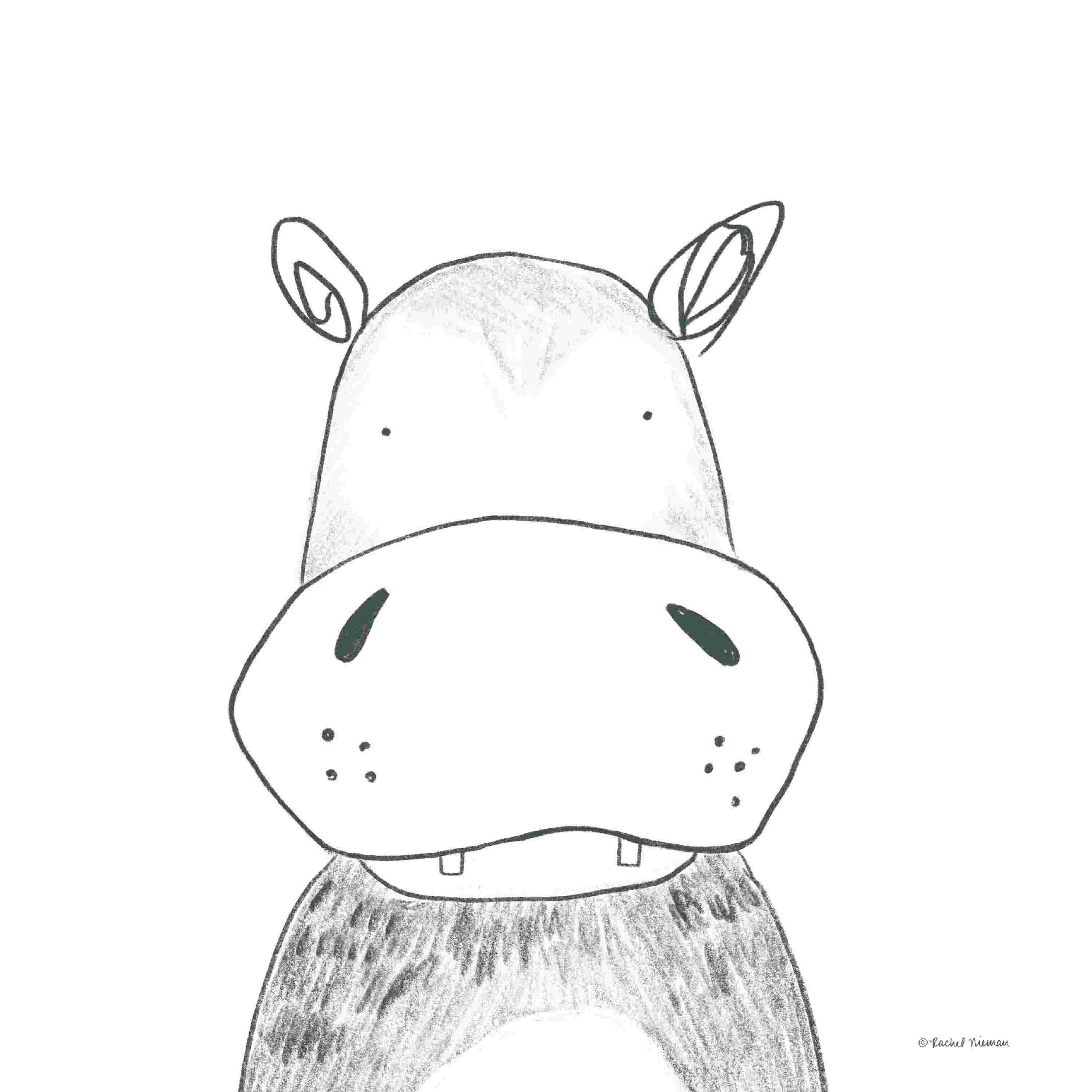 Bungalow Rose Hippo Line Drawing by Rachel Nieman - Wrapped Canvas ...