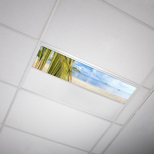 Octo Lights Beach Flexible Decorative Light Cover | Wayfair