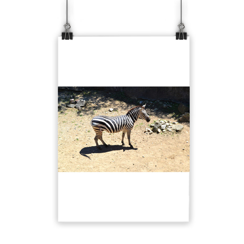 Bungalow Rose Zebra Classic - Unframed Photograph | Wayfair
