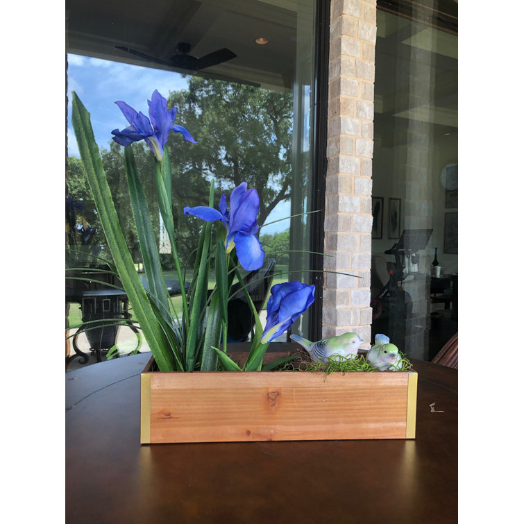 Primrue Iris Box with Birds | Wayfair