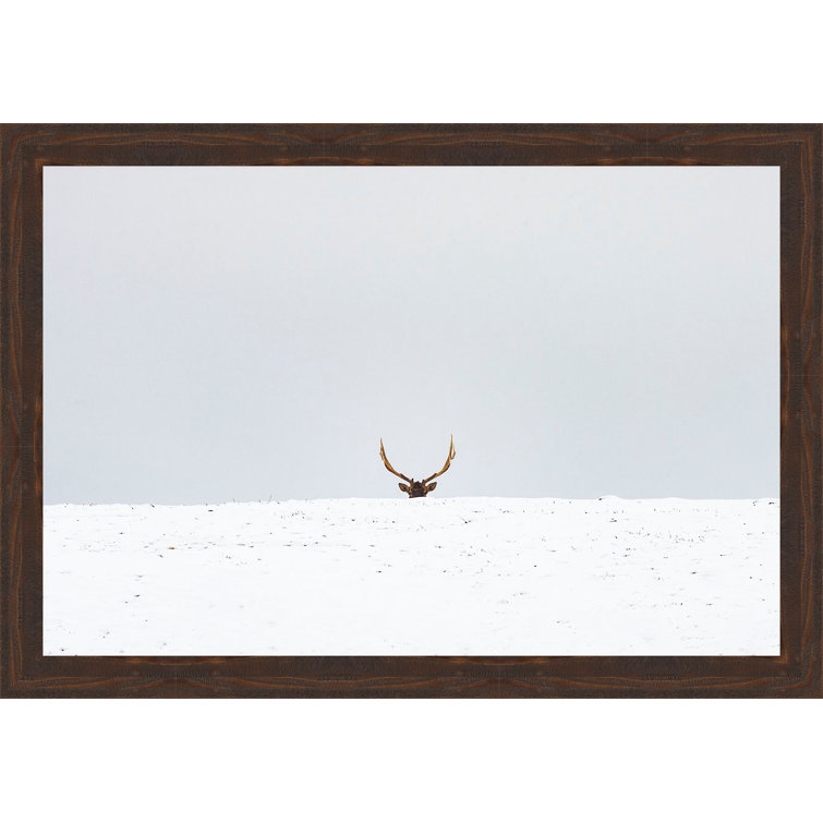 Ashton Wall Décor LLC Elk - Picture Frame Print on Canvas | Wayfair