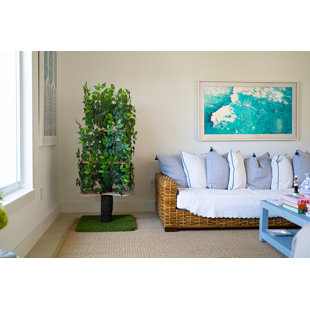Wayfair | Carpet Cat Trees & Condos You'll Love in 2022