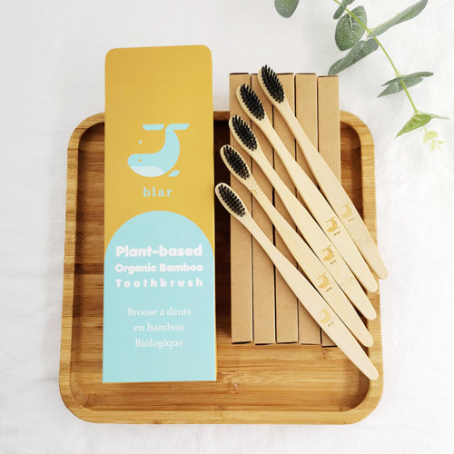 Blar Biodegradable Toothbrush Holder & Reviews | Wayfair