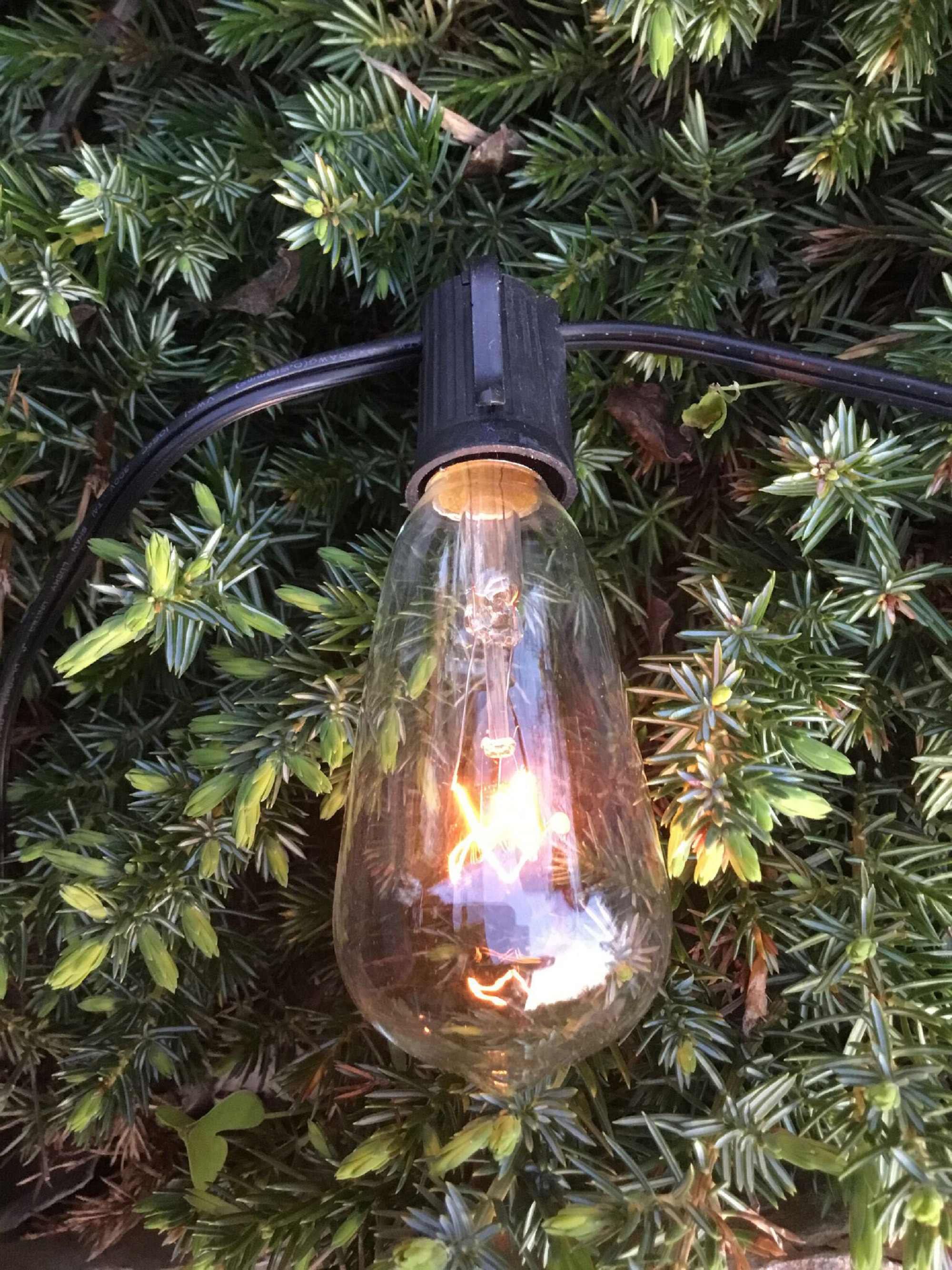 Outdoor String Lights You'll Love in 2019 | Wayfair.ca