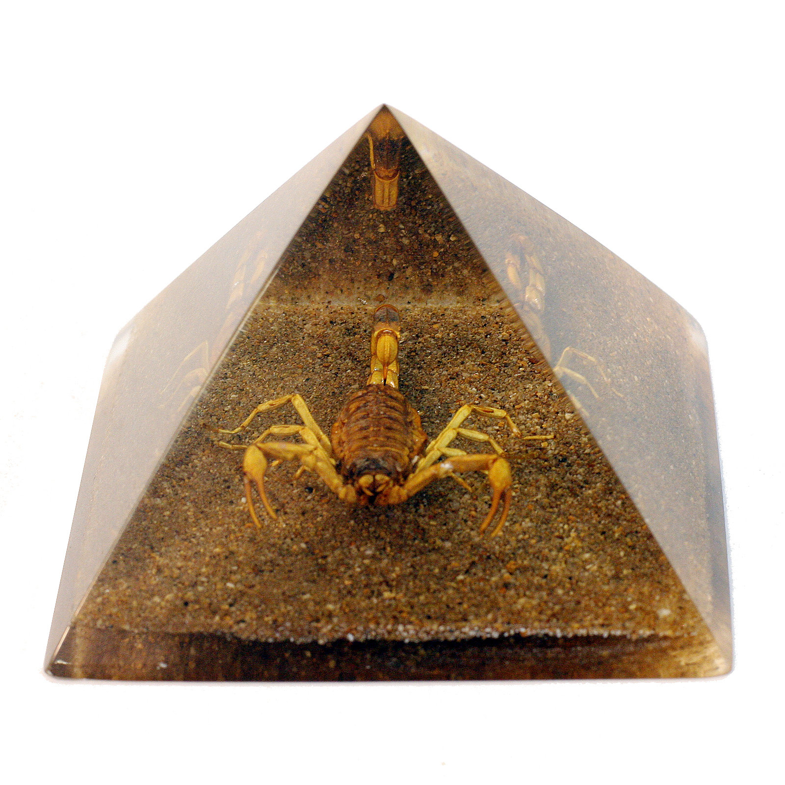 Rosalind Wheeler Raasch Scorpion Glow in Dark Pyramid | Wayfair