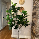 Primrue Artificial Fiddle Leaf Fig Tree 6ft Tall 86 Decorative Faux ...