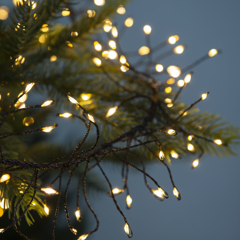 The Holiday Aisle® Micro LED Cluster String Lights & Reviews | Wayfair.ca