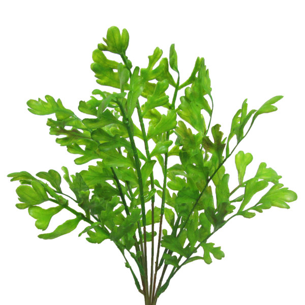 Primrue Artificial Stag Horn Fern Leaf Bush Plant - Wayfair Canada