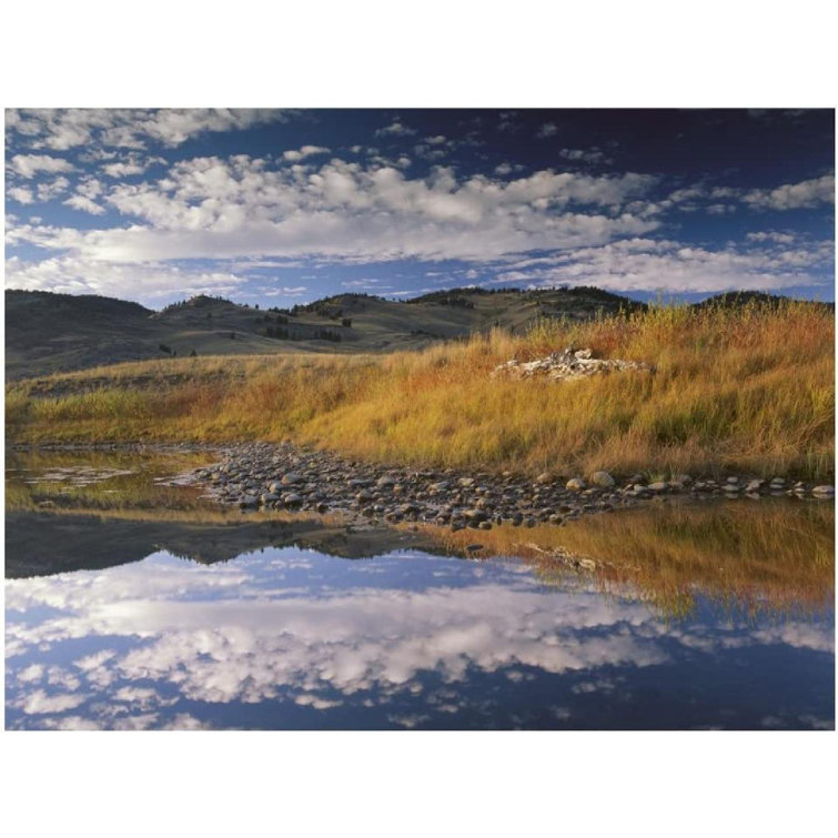 Millwood Pines Absaroka Range And Slough Creek Yellowstone Nation ...