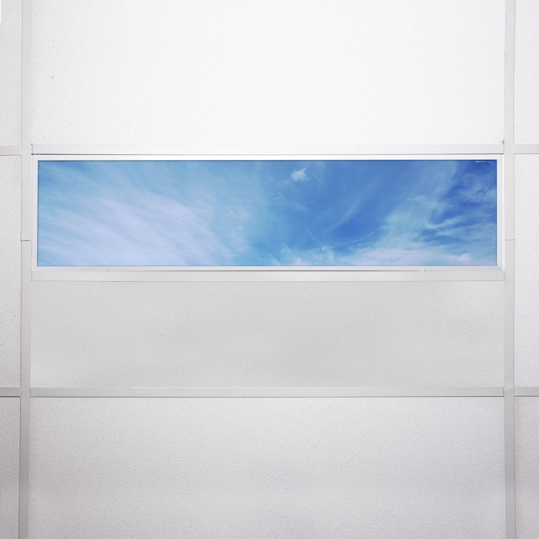 Octo Lights Clouds Flexible Decorative Light Cover | Wayfair