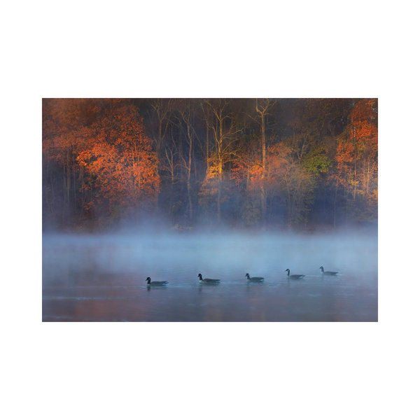 Alpen Home Social Distances by - Wrapped Canvas | Wayfair.co.uk