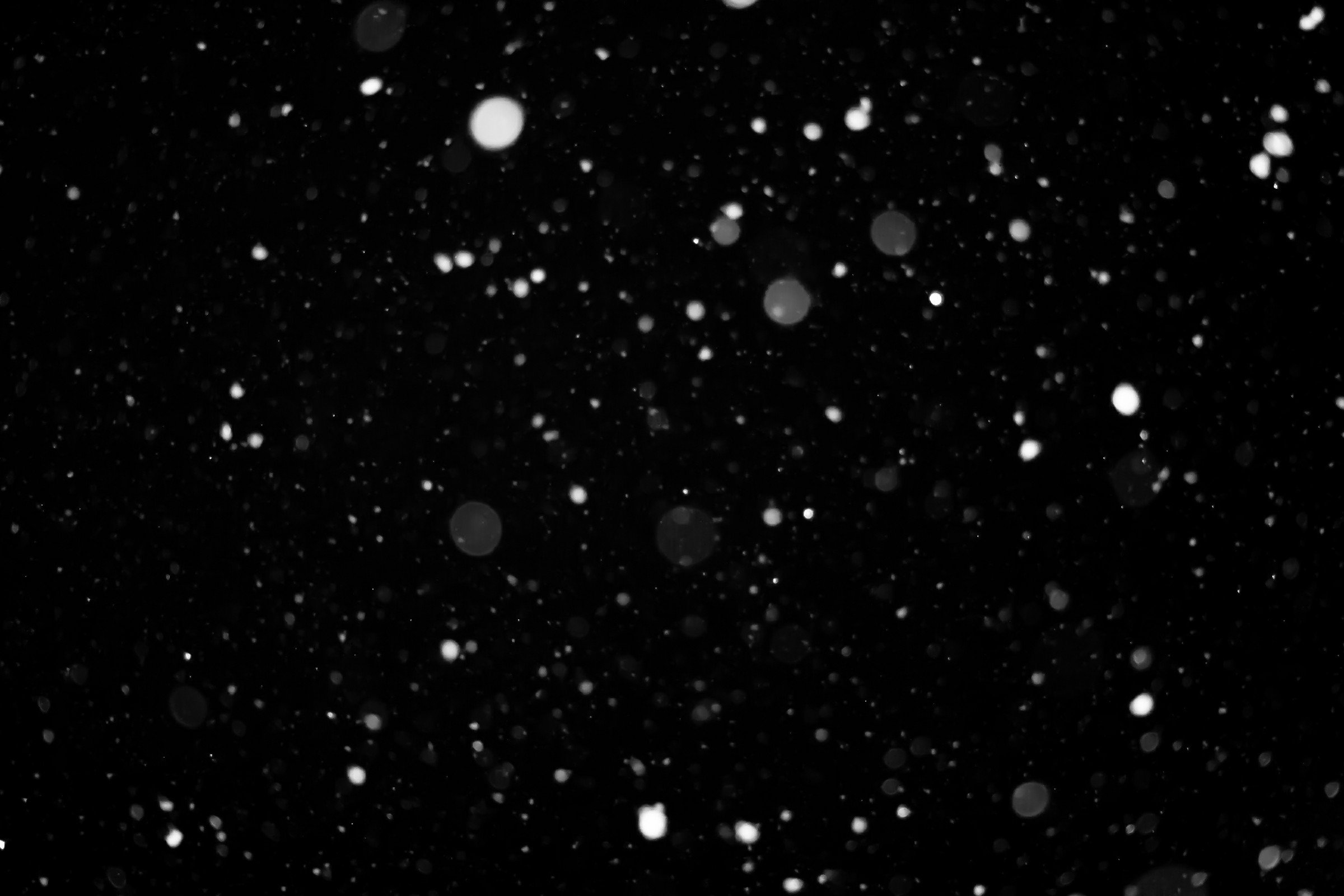 Ebern Designs Falling Snow Texture by - Wrapped Canvas Graphic Art ...