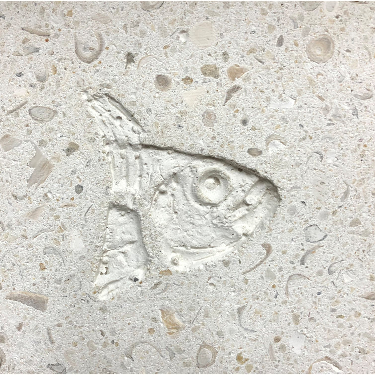 Matrix-Z 6" x 6" SeaStone Bevel Edge Cement Fish Head Fossil Impression ...