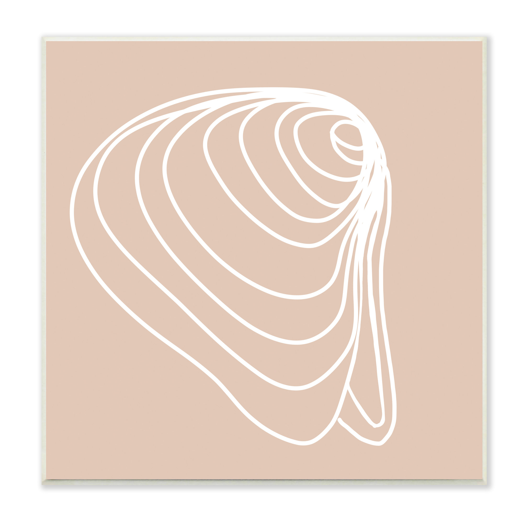 Stupell Industries Clam Shell Seashell Stripes Casual Line Doodle by ...