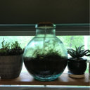 Gracie Oaks Sphere Storage Jar & Reviews | Wayfair