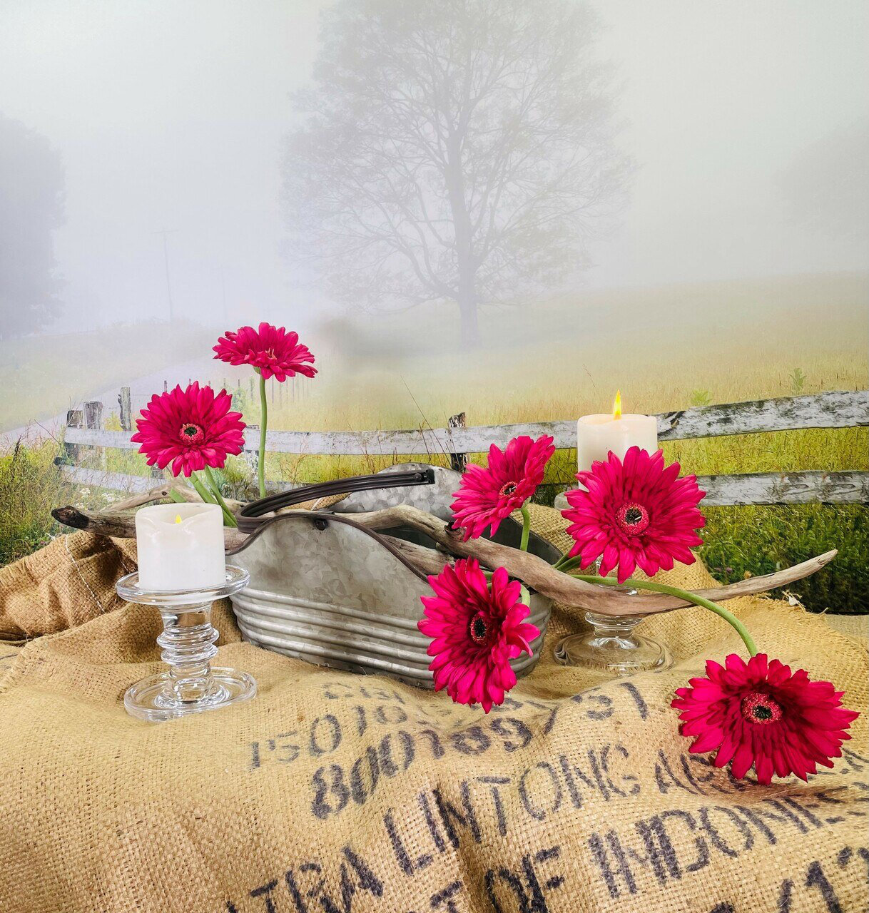 Primrue Real Touch Gerbera Stem | Wayfair