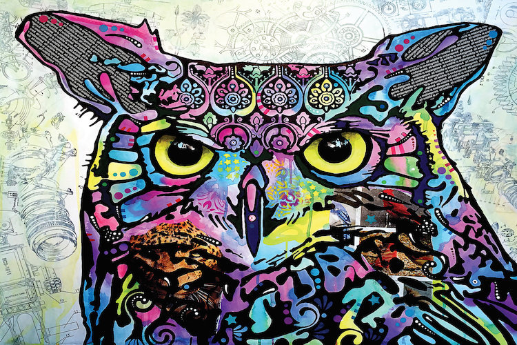 Wrought Studio The Owl Graphic Art on Wrapped Canvas | Wayfair