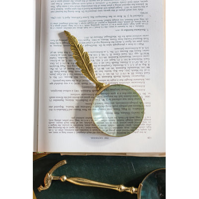 Decorative Magnifying Glass | Wayfair