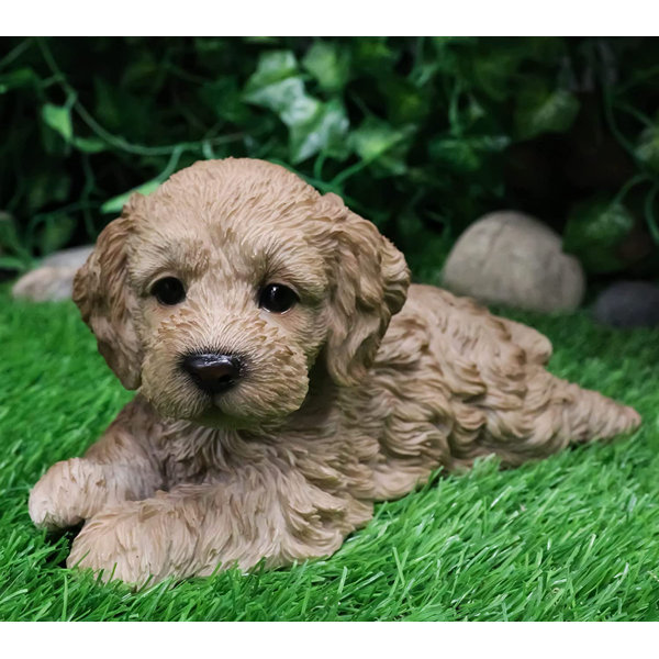 Winston Porter Kellsie Realistic Cockapoo | Wayfair