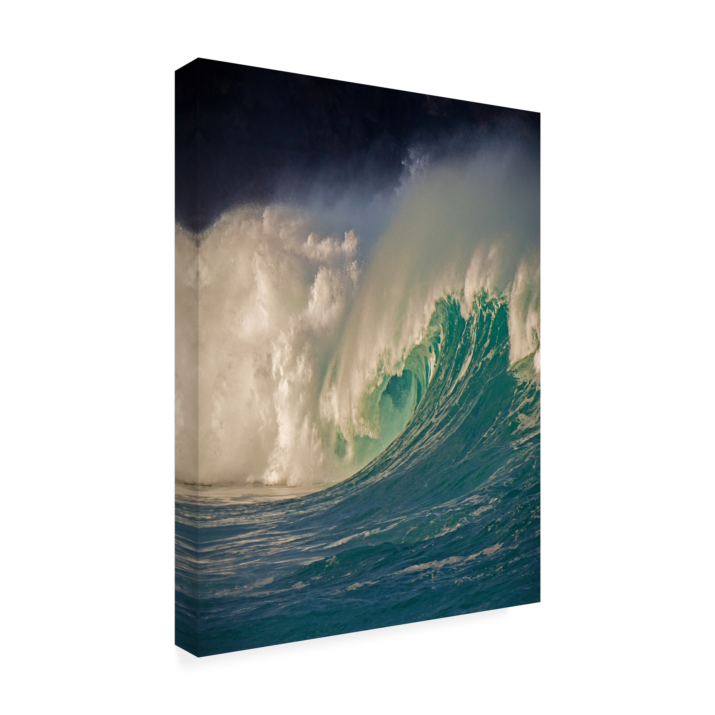 Dovecove Alan Klu Bunnell Outdoor Canvas | Wayfair