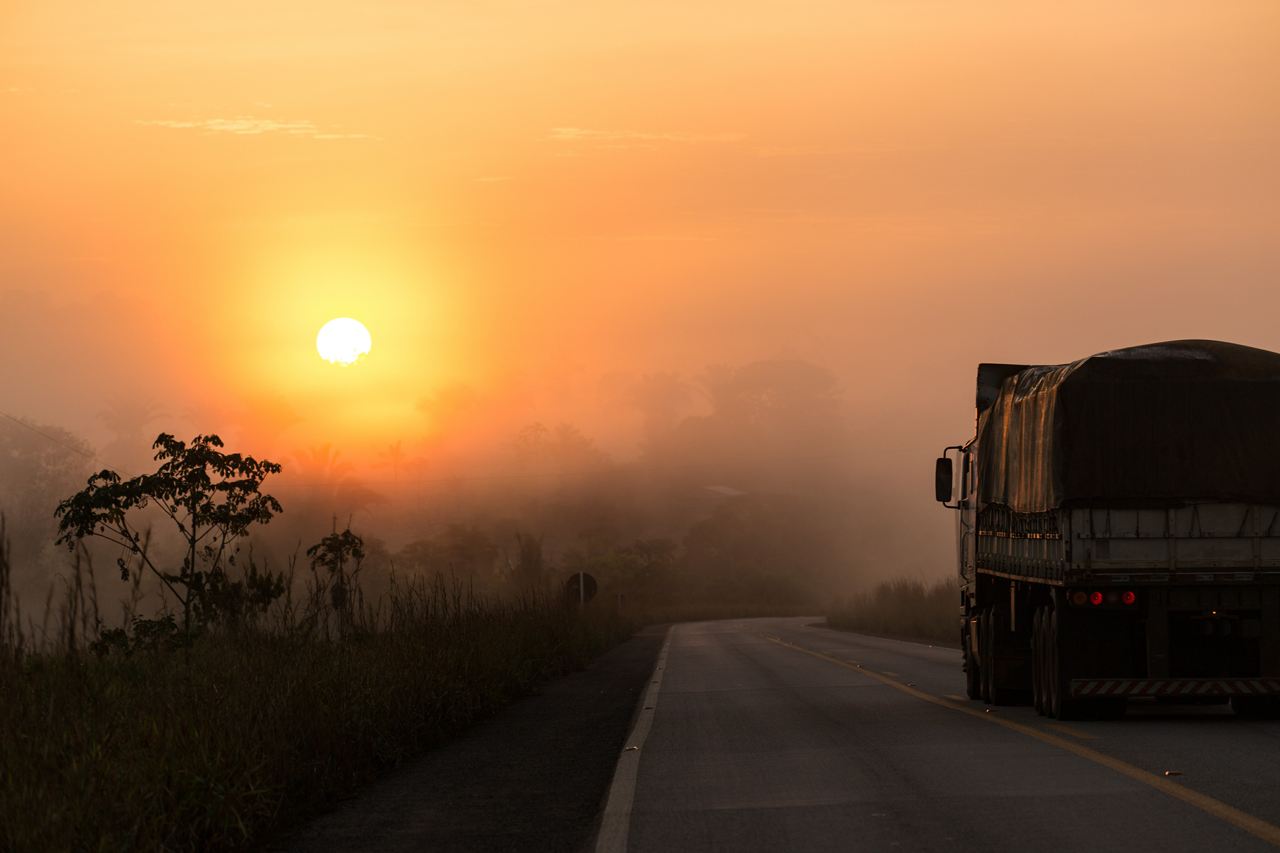 Ebern Designs Foggy Landscape, Rondania by Roman Rahm - Wrapped Canvas ...