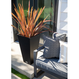 Wayfair | Planters You'll Love in 2022