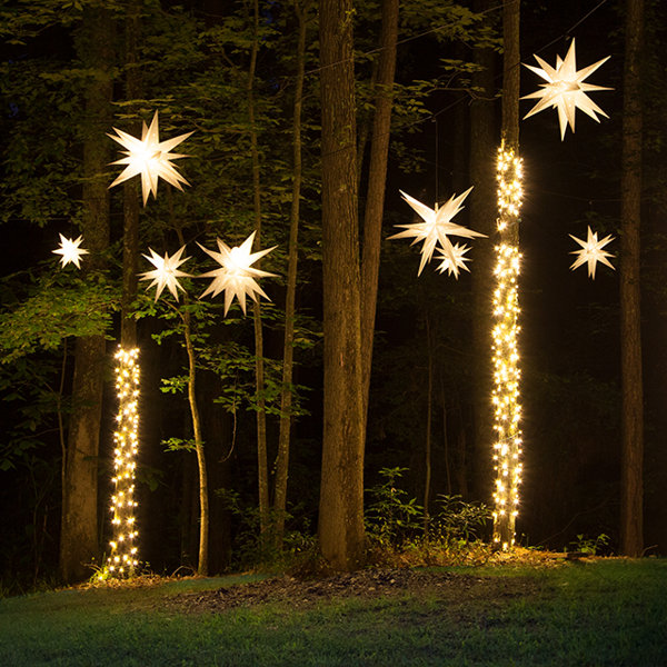 Wrought Studio Moravian Star Lighted Display & Reviews | Wayfair