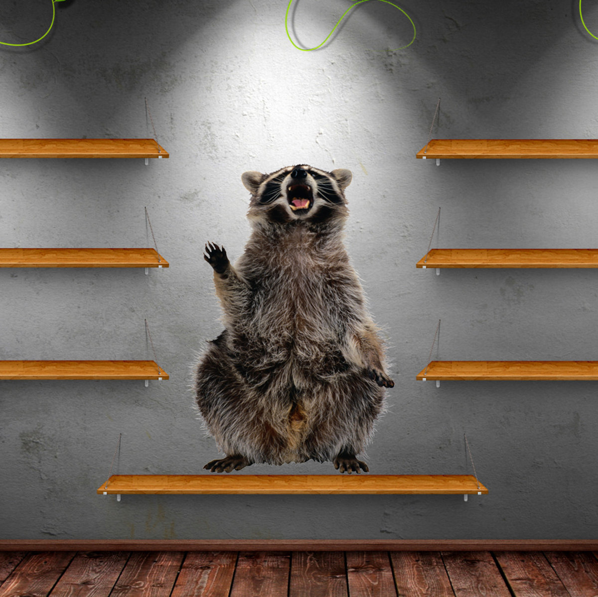 Loon Peak® Raccoon Wall Decal | Wayfair