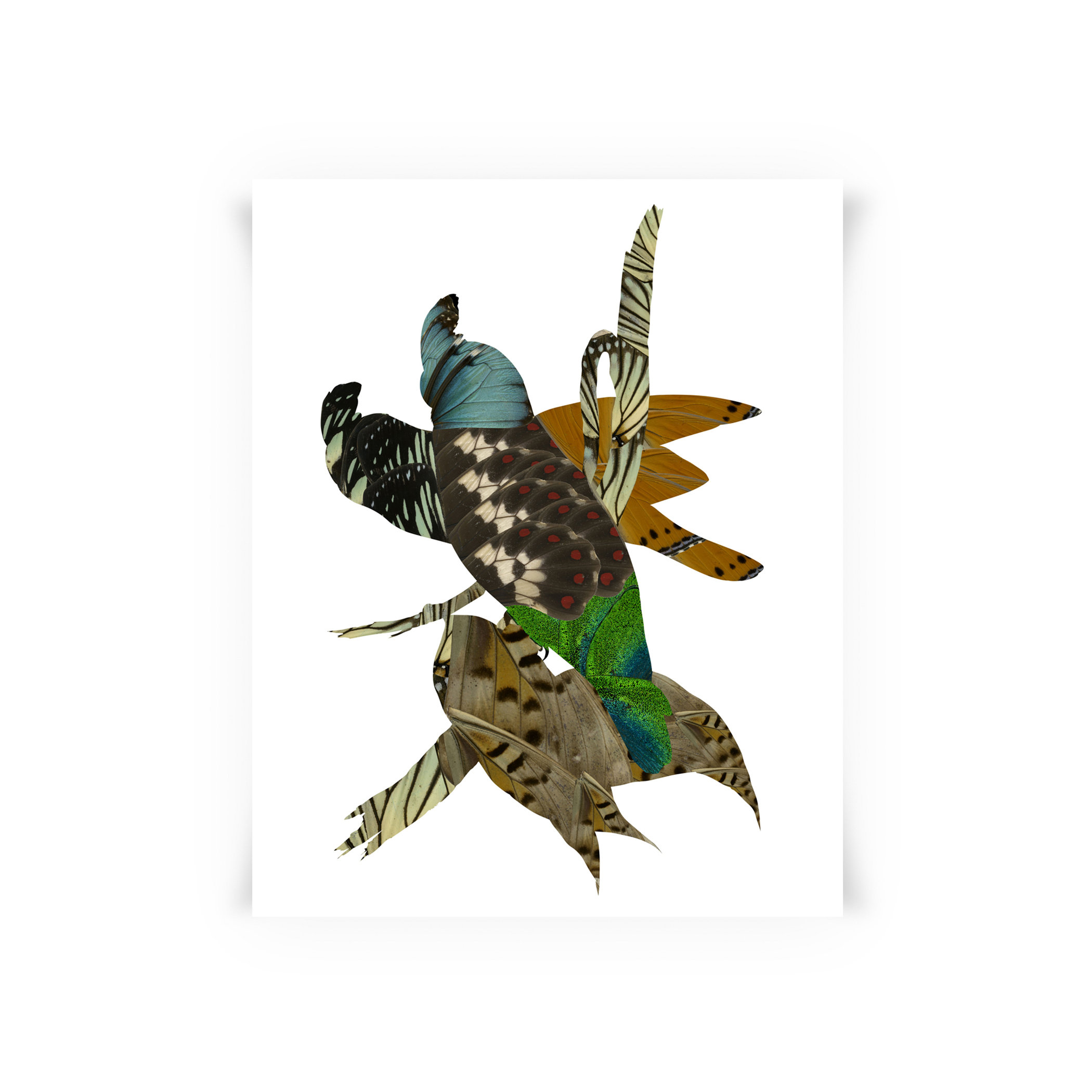 Nature Creative Flora And Fauna 47 Flora And Fauna 47 Wall Art - Print ...
