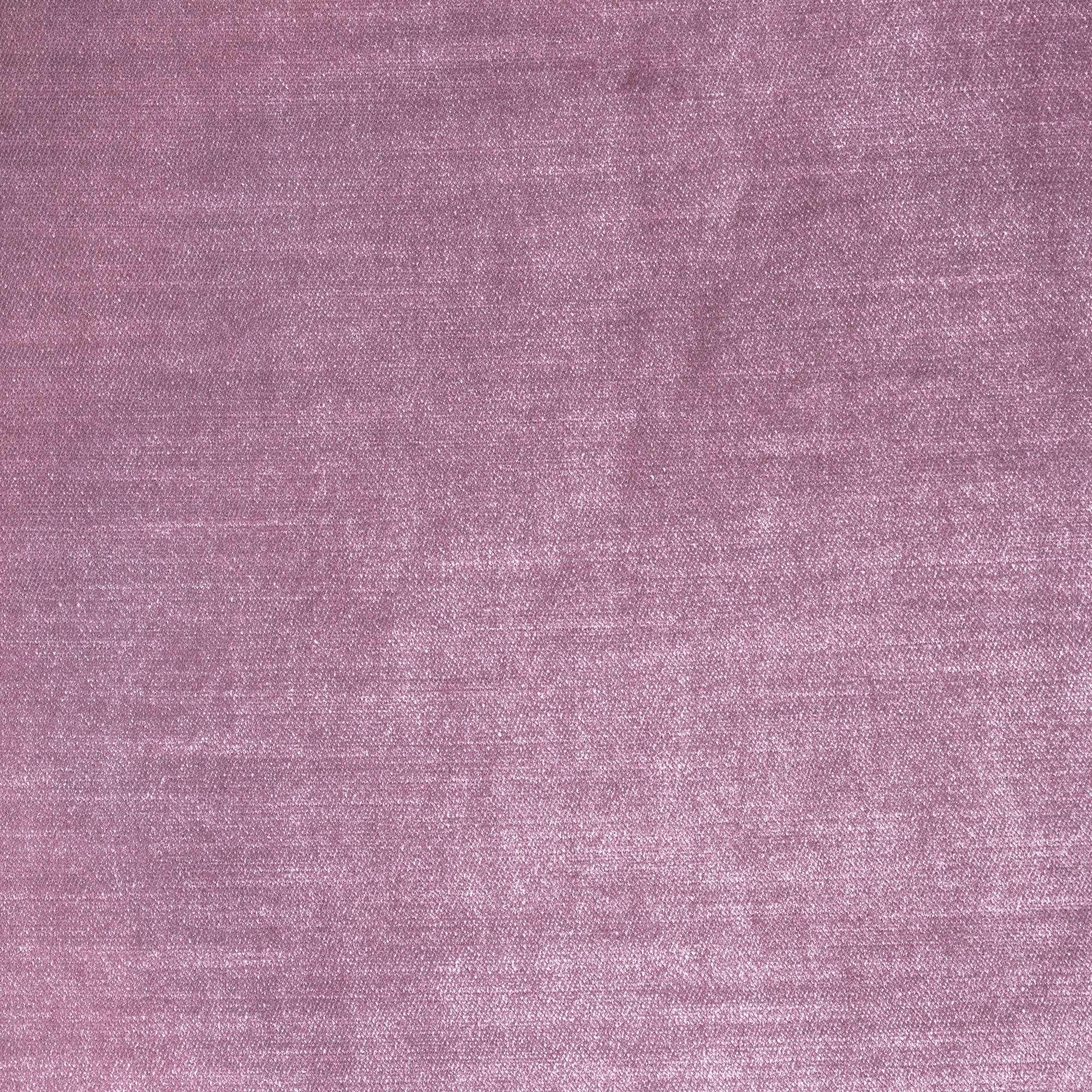 Eastern Accents Valentina Fabric | Wayfair