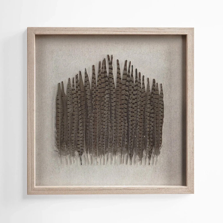 Joss & Main Shadow Box Wall Décor | Wayfair