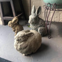 Campania International, Inc Fat Rabbit Statue & Reviews | Wayfair