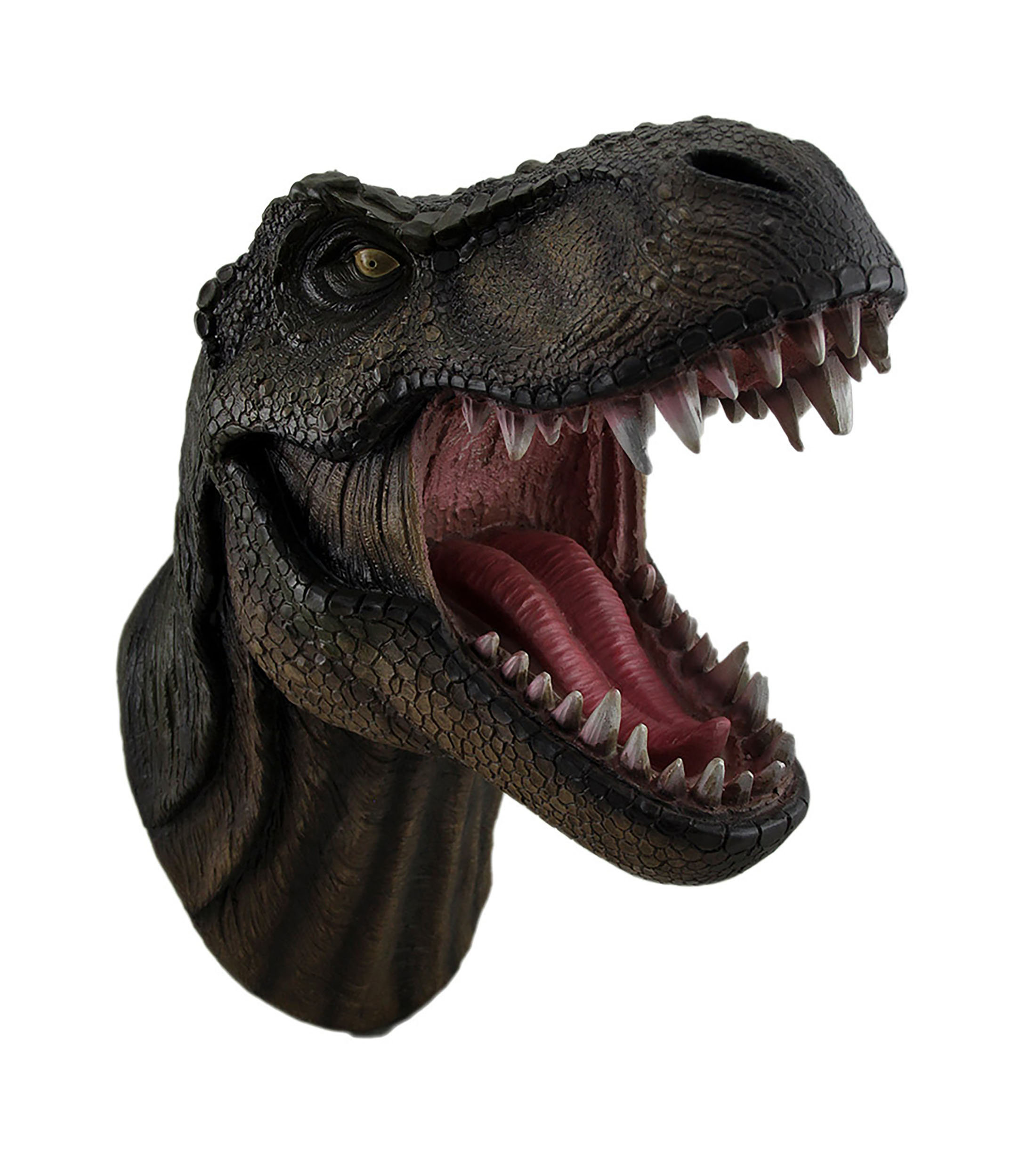 Trinx Jurassic Jaws Snarling Tyrannosaurs Rex Wall Décor | Wayfair