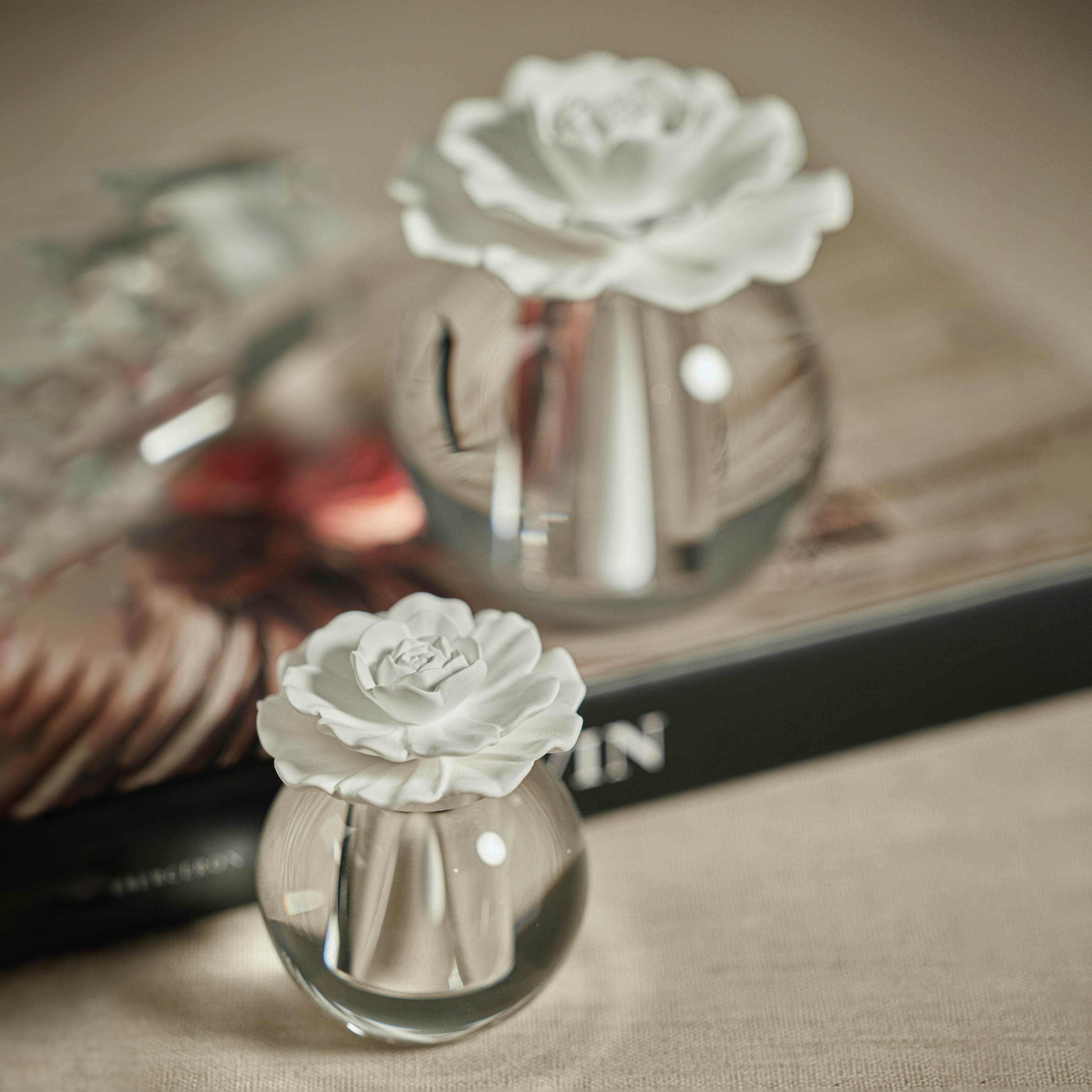 Zodax Diffuser | Wayfair