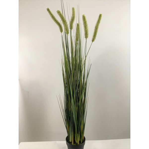 Primrue 38'' Artificial Cattail Grass in Pot - Wayfair Canada