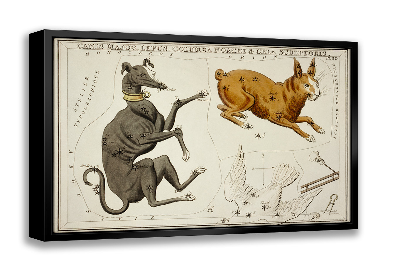 ATX Art Group LLC Astronomical Chart Illustration Of The Canis Major ...