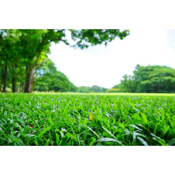Ebern Designs Green Lawns - Wrapped Canvas Photograph | Wayfair