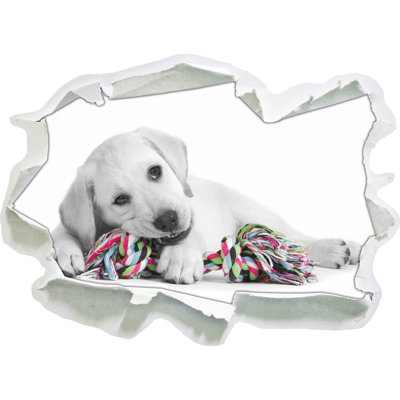 Puppy Play Pen | Wayfair.co.uk
